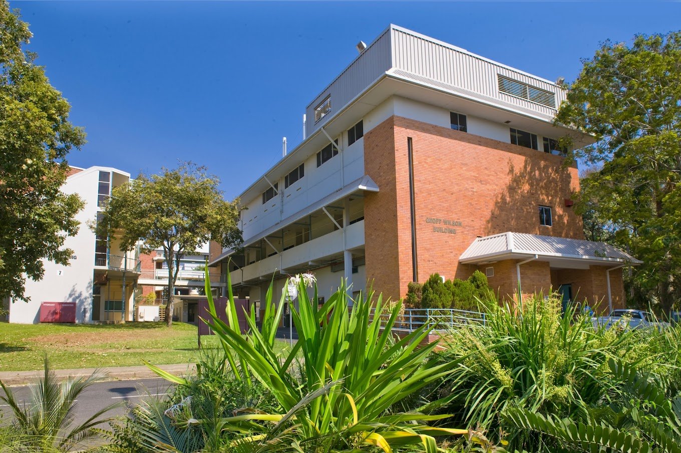 CQ University – Afridemia